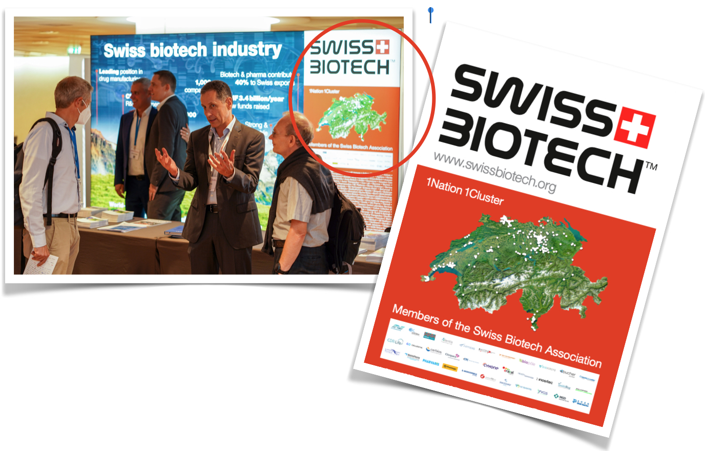 Logo presence for members – Swiss Biotech