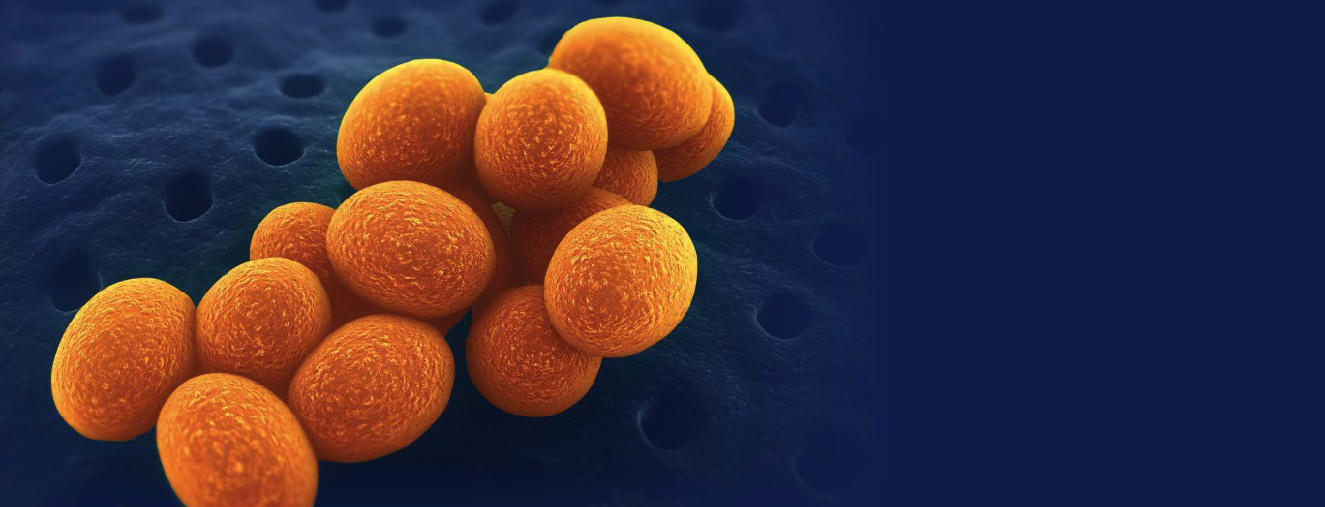 AMR Conference – Swiss Biotech