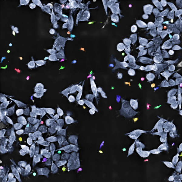 Nanolive SA – Swiss Biotech