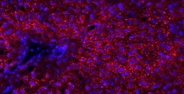 Genevant Sciences GmbH – Swiss Biotech